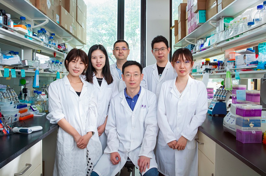 Ding Sheng and his team from the School of Pharmaceutical Sciences ...